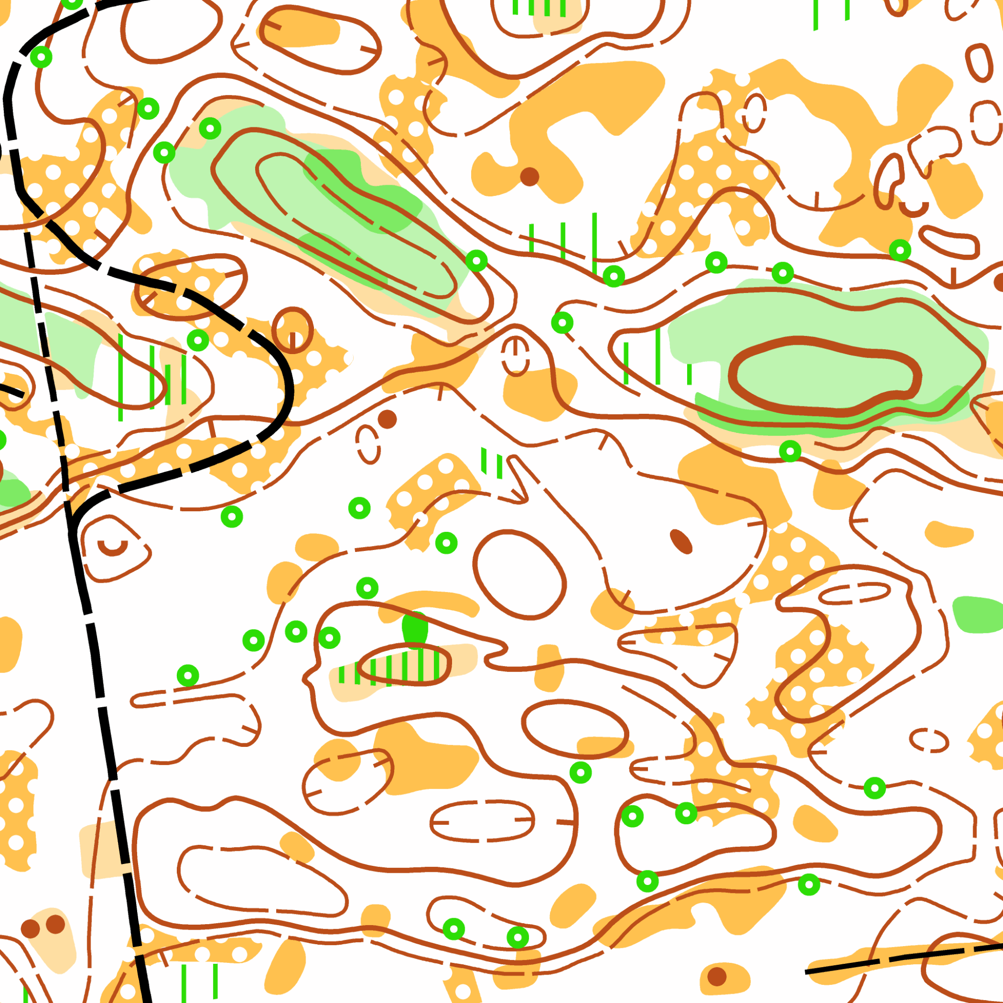 POM Day 4 – Forest Information – POM 2026